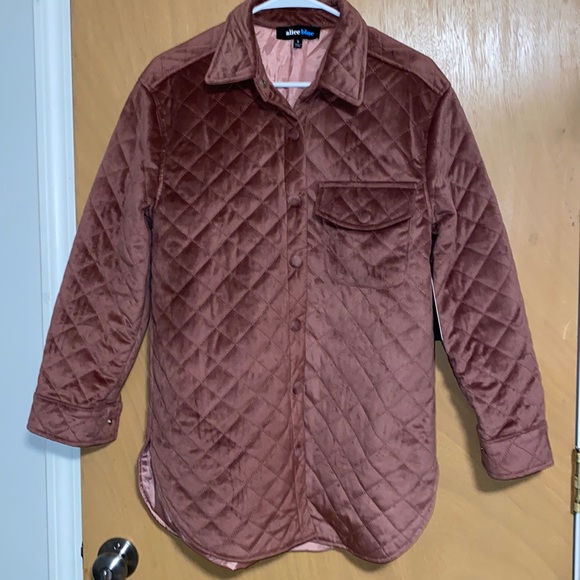 Alice Blue | Jackets & Coats | Alice Blue Quilted Velour Shacket | Poshmark